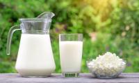 China Food Additive DMG95 Emulsifiers And Stabilizers Prevent Possible Stratification In Milk for sale