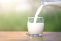 China FDA Emulsifier Distilled Monoglyceride DMG95 GMS99 E471 For Protein Beverages for sale