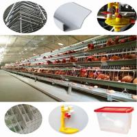 China Automatic Poultry Farming Equipment Chicken Layer Battery Cage 1.9m×45cm×40cm with 3.2mm Galvanized Steel for sale