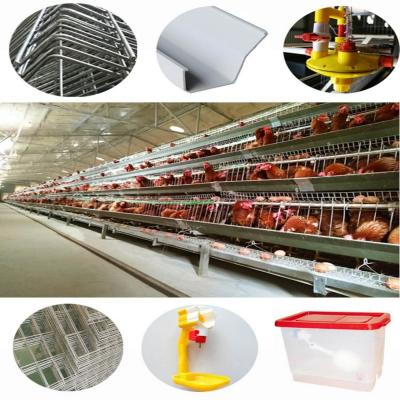 China Automatic Poultry Farming Equipment Chicken Layer Battery Cage 1.9m×45cm×40cm with 3.2mm Galvanized Steel for sale