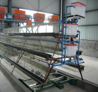 China Automatic Poultry Farming Equipment Chicken Layer Battery Cage 1.9m×45cm×40cm with 3.2mm Galvanized Steel for sale
