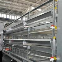 China Automatic Poultry Farming Equipment Chicken Layer Battery Cage 1.9m×45cm×40cm with 3.2mm Galvanized Steel for sale