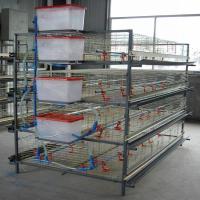 China Automatic Galvanized 3-4 Tier A-Type Battery Egg Chicken Layer Cage System - 1.9m×45cm×40cm with 3.2mm Steel Construction for sale