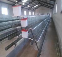 China Automatic Galvanized 3-4 Tier A-Type Battery Egg Chicken Layer Cage System - 1.9m×45cm×40cm with 3.2mm Steel Construction for sale