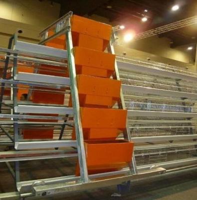 China Full Automatic Poultry Feeding System with Manure Cleaning - 1.9m Chicken Cages in 3.2mm Galvanized Steel for sale