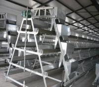 China Full Automatic Poultry Feeding System with Manure Cleaning - 1.9m Chicken Cages in 3.2mm Galvanized Steel for sale