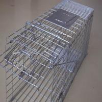 China Collapsible Live Animal Trap Cage 45x25x30cm & 120x50x50cm Galvanized Steel for Wildlife Management for sale