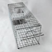China Collapsible Live Animal Trap Cage 45x25x30cm & 120x50x50cm Galvanized Steel for Wildlife Management for sale