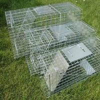 China Indoor Monolayer Cat Trap Animal Control Cage 45x25x30cm & 120x50x50cm Galvanized Steel for sale