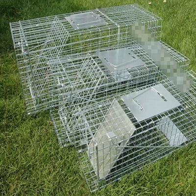 China Indoor Monolayer Cat Trap Animal Control Cage 45x25x30cm & 120x50x50cm Galvanized Steel for sale