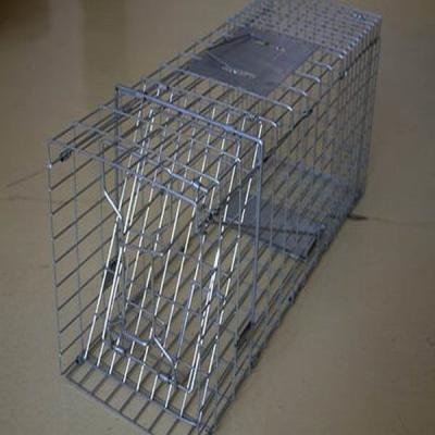 China Humane Live Catch Animal Trap Cage 45cm & 120cm Models with Double Doors and Foldable Design for sale
