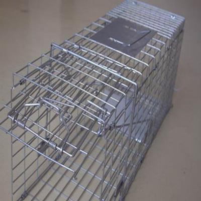 China Professional Animal Trap Cage 45x25x30cm Fox Size 120x50x50cm Dog Size Galvanized Steel Construction for sale