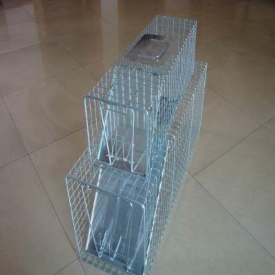 China Humane Live Animal Trap Cage 45x25x30cm & 120x50x50cm Galvanized Steel for Raccoons, Cats, Dogs for sale