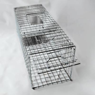 China Custom Size Galvanized Wire Animal Trap Cage - 45cm Fox Size & 120cm Dog Size Options for sale