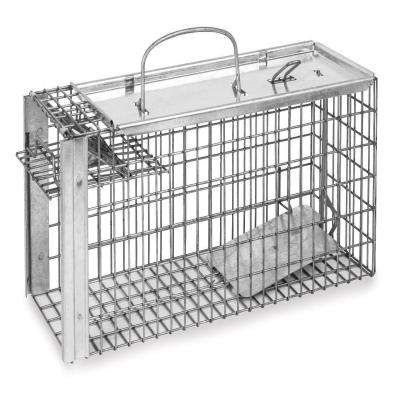 China Humane Catch and Release Live Animal Trap Cage - 45x25x30cm Fox & 120x50x50cm Dog Models for sale
