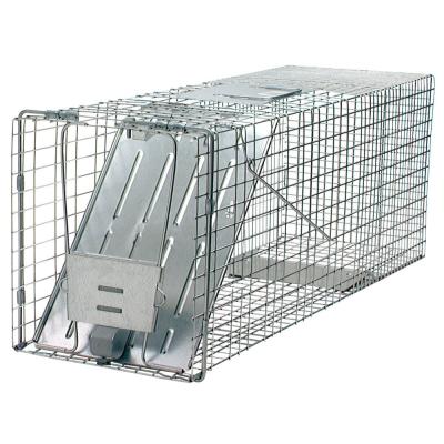 China Humane Live Animal Cage Trap 45x25x30cm and 120x50x50cm Galvanized Steel for Wildlife Control for sale