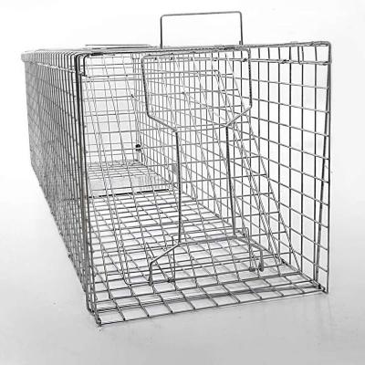 China Heavy Duty Live Animal Cage Trap 45x25x30cm & 120x50x50cm with Galvanized Steel Construction for sale