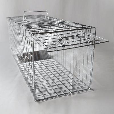 China Outdoor Animal Live Catch Trap Cage 45x25x30cm & 120x50x50cm Galvanized Steel Fox Dog Cage for sale