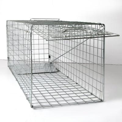 China Professional Animal Control Trap Cage - 45cm Fox & 120cm Dog Models with Galvanized Steel Construction for sale