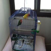 China Detachable Electroplating Stainless Steel Bird Cage 60x35x35cm with Stand for Parrots - OEM/ODM Available for sale