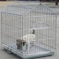 China Double Door Locking Caster Dog Cage 100x75x70cm with 4.0mm Galvanized Wire and Stainless Steel Options for sale