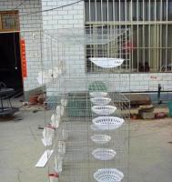 China 4 Tier Wire Mesh Racing Pigeon Breeding Cage System - 2m x 0.55m x 1.8m with 2.3mm Galvanized Steel Construction for sale