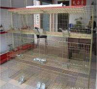 China 4 Tier Wire Mesh Racing Pigeon Breeding Cage System - 2m x 0.55m x 1.8m with 2.3mm Galvanized Steel Construction for sale