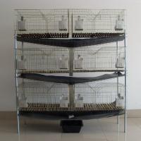 China 3-Tier Rabbit Cage System 1.2m x 50cm x 1.5m with Automated Drinking and 12 Breeding Spaces for sale