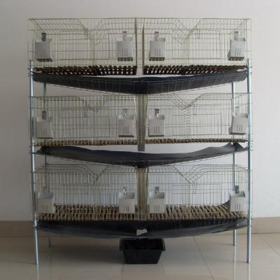 China 3-Tier Rabbit Cage System 1.2m x 50cm x 1.5m with Automated Drinking and 12 Breeding Spaces for sale