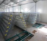 China Commercial Quail Layer Cage 180x60x20cm Galvanized 240 Quail Capacity Set for sale