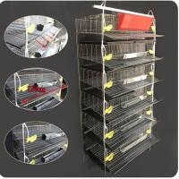 China Commercial Quail Layer Cage 180x60x20cm Galvanized 240 Quail Capacity Set for sale