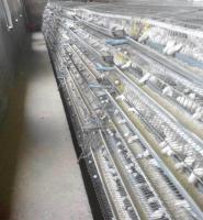 China Commercial Quail Layer Cage 180x60x20cm Galvanized 240 Quail Capacity Set for sale