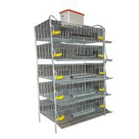 China Full Automatic Feeding Metal Quail Laying Cage Water Drinker for sale