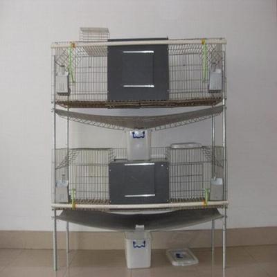 China Commercial Galvanized Rabbit Cage 3 Layers 12 Doors for Large Farming Hot Dipped Galvanized for sale
