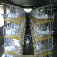 China Commercial Galvanized Rabbit Cage 3 Layers 12 Doors for Large Farming Hot Dipped Galvanized for sale
