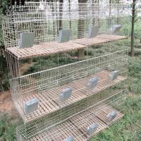 China Special Rabbit Cage for Large, Medium and Small Farms for sale