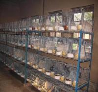 China Meat Rabbit Cages Large Commercial Breeding Cages for Rabbits for sale