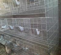 China Meat Rabbit Cages Large Commercial Breeding Cages for Rabbits for sale
