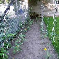 China Galvanized Tomato Spiral Support Wire 1.8m Height 8mm Diameter for Plant Growth for sale