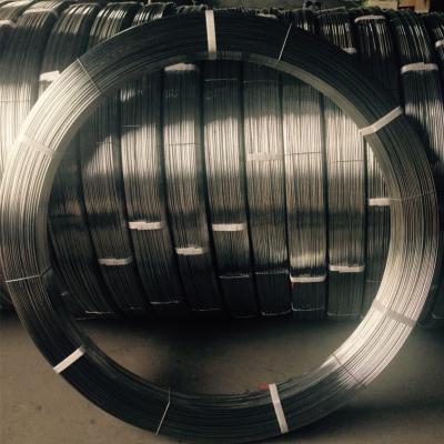China High Tensile Galvanized Oval Steel Wire 2.4×3.0mm with 80-210g/m² Zinc Coating for Agricultural Fencing for sale