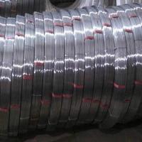 China Galvanized Oval Wire 2.4x3.0mm and 2.2x2.7mm with 80-210g/m² Zinc Coating for Agricultural Fencing for sale