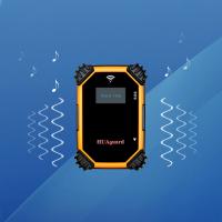 China Online Guard Patrol Monitoring System Time Attendance Location Cloud Software GPS Alarm for sale