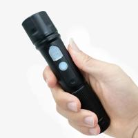 China 158mm Length Rfid Guard Tour System Black Color Handheld With Torchlight for sale