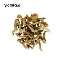 China Convenient Dried Medical Leeches Versatile For Nutraceutical Biomedical Applications for sale