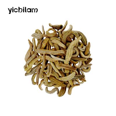 China Nutritive Dried Leech High Potency Safe Food Grade For Biomedical Formulations for sale