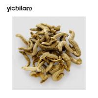 China High Potency Dried Medical Hirudo 600ATU/G Standardized For CGMP Nutraceutical for sale