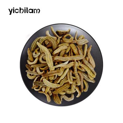 China Natural Dried Hirudo Nipponia Leeches Food Grade For Therapeutic Applications for sale
