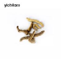 China High Potency Dried Leech Freeze Dried Hirudin Standardized For TCM Applications for sale