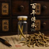 China Premium Dried Leech Shuizhi (Hirudo Nipponia) Natural Chinese Herbal Medicine Ingredient for Traditional Medicine and Pharmaceutical Use for sale
