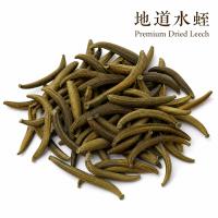 China Dried Medicinal Leech Hirudo nipponia Whole Body 0.3g/Bottle Shuizhi TCM Raw Material for sale